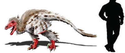 Balaur | Wiki ACAM | Fandom