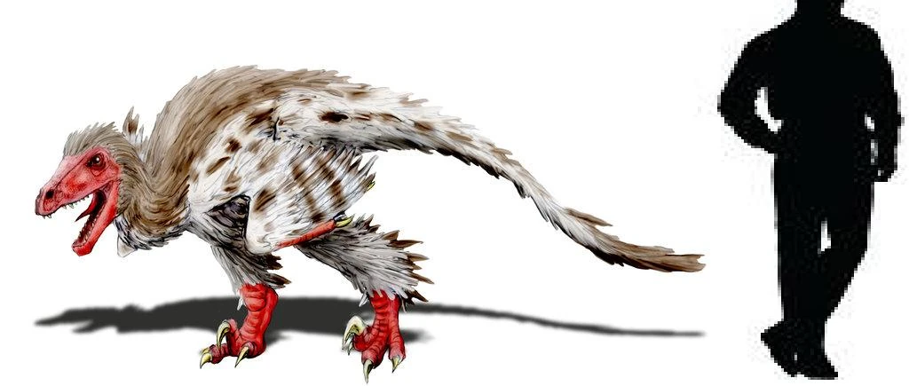 Balaur | Wiki ACAM | Fandom