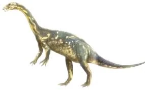 Ammosaurus | Wiki ACAM | Fandom