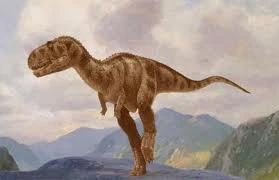 Abelisaurus | Wiki ACAM | Fandom