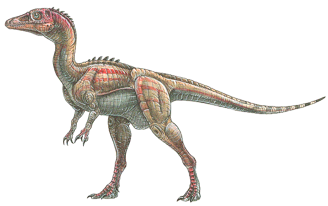 Eoraptor | Wiki ACAM | Fandom