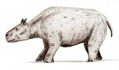 Toxodon | Wiki ACAM | Fandom