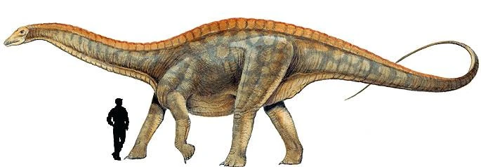 Datousaurus | Wiki ACAM | Fandom