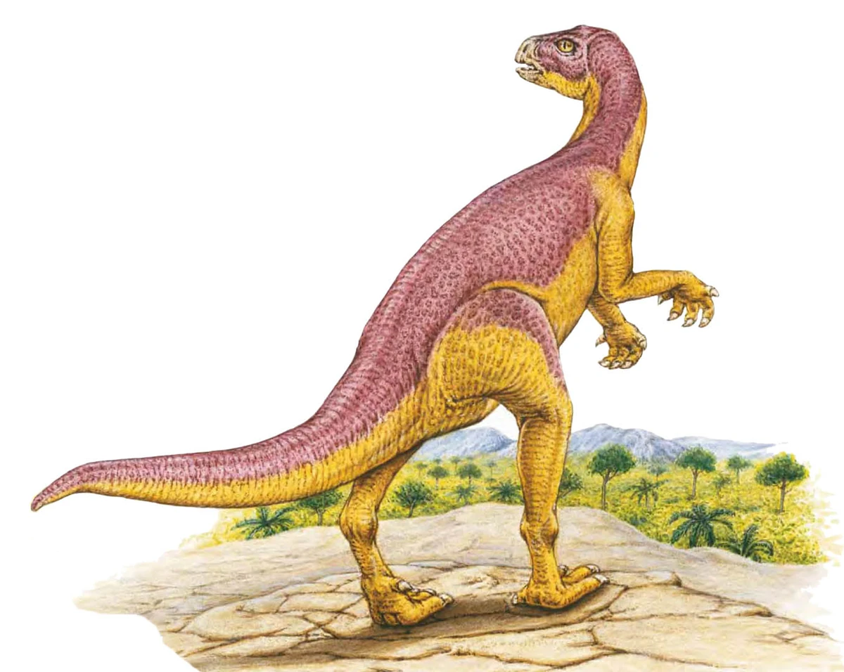 Xiaosaurus | Wiki ACAM | Fandom