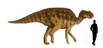 Aralosaurus | Wiki ACAM | Fandom