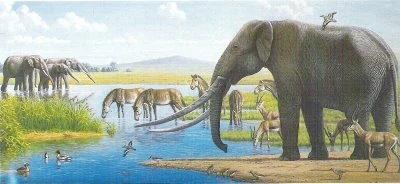 Guía del mundo prehistórico: Plioceno | Wiki ACAM | Fandom