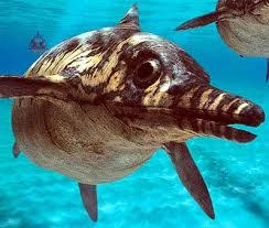 Categoría:Animales prehistóricos | Wiki ACAM | Fandom