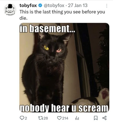 Rate my new pfp | Fandom