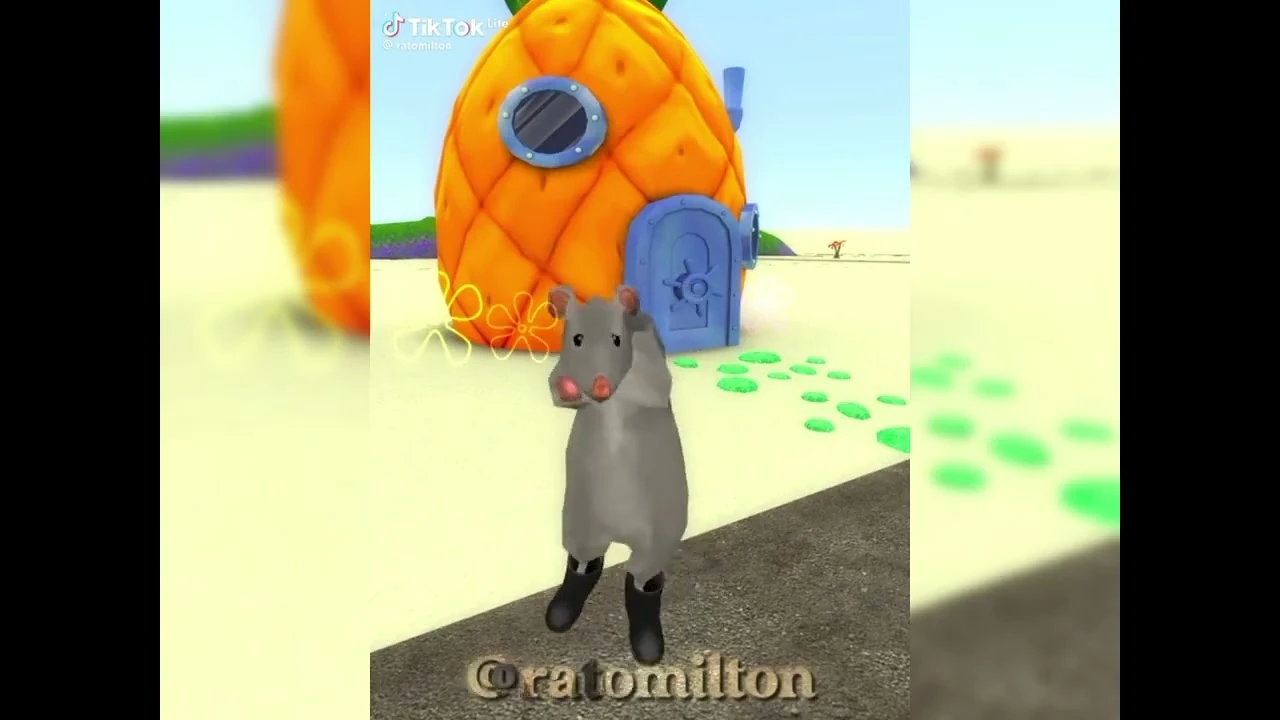 CAN YOU rat dancing somehow :) | Fandom