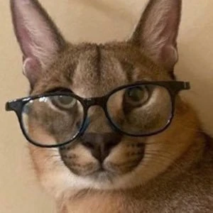 Epik Floppa | ACC Official Database Wiki | Fandom