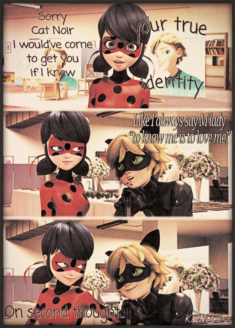 LadyNoir Moment🖤 | 115 | Fandom