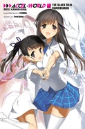 Accel World Light Novel Volume 18 | Accel World Wiki | Fandom