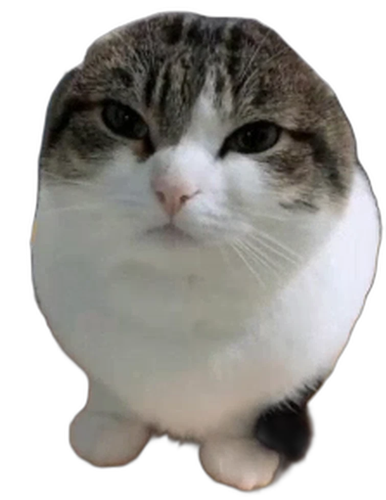 Literally ask me anything (also image dump) | Fandom