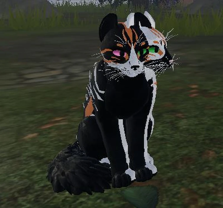 wcue out of context | Fandom