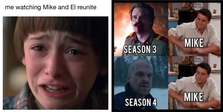 Memes only fans will understand | Fandom