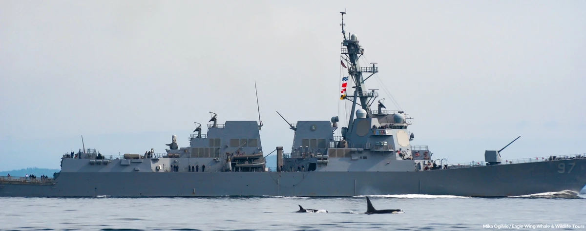 Shannon Bay resident orcas | Vader's Strangereal Wiki | Fandom