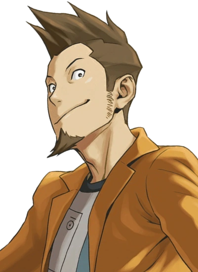 Forum:Character Profiles | Ace Attorney Wiki | Fandom