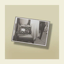 Photograph of Handbag | Ace Attorney Wiki | Fandom