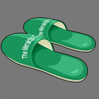 Slippers | Ace Attorney Wiki | Fandom