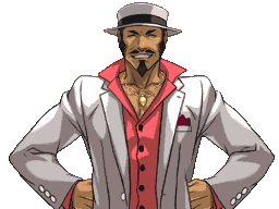 Shadi Enigmar | Ace Attorney Wiki | Fandom