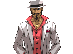 Shadi Enigmar | Ace Attorney Wiki | Fandom