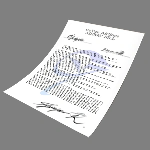 Alif Red Certificate | Ace Attorney Wiki | Fandom