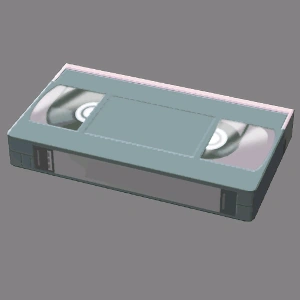 Surveillance Video | Ace Attorney Wiki | Fandom