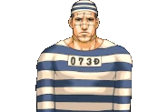 Terry Fawles - Sprite Gallery | Ace Attorney Wiki | Fandom