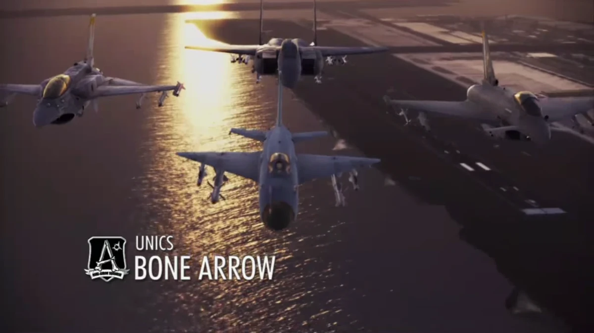 Bone Arrow Squadron | Acepedia | Fandom