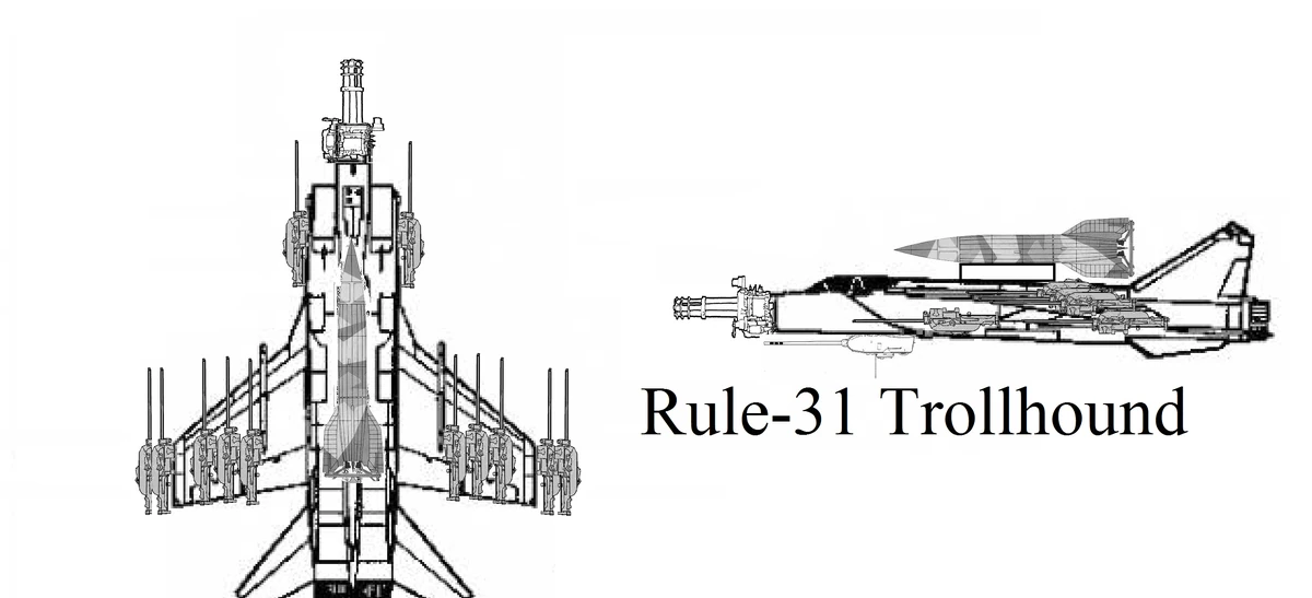Rule-31 Trollhound | Ace Combat Fanon Wiki | Fandom