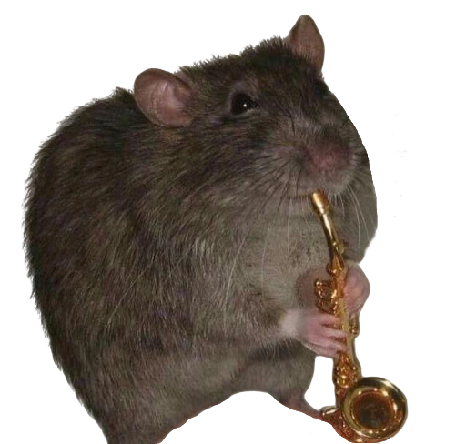 Jazz Rat | Acecord Wiki | Fandom