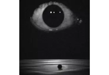 Discuss Everything About Glagglepedia Wiki | Fandom