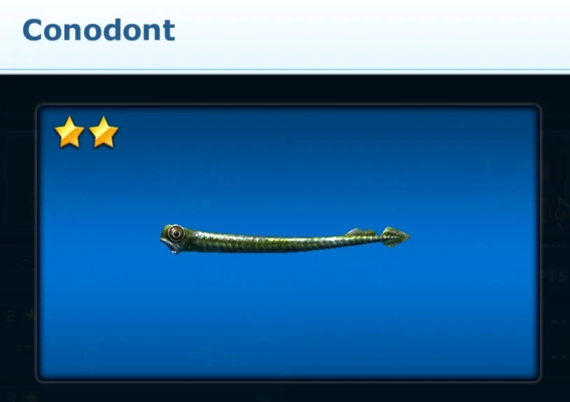 Conodont | Ace Fishing Wiki | Fandom
