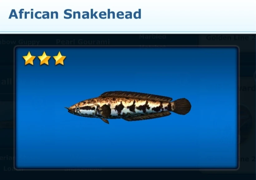 African Snakehead | Ace Fishing Wiki | Fandom
