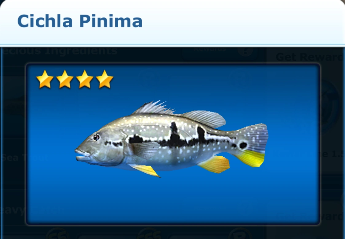 Cichla Pinima | Ace Fishing Wiki | Fandom