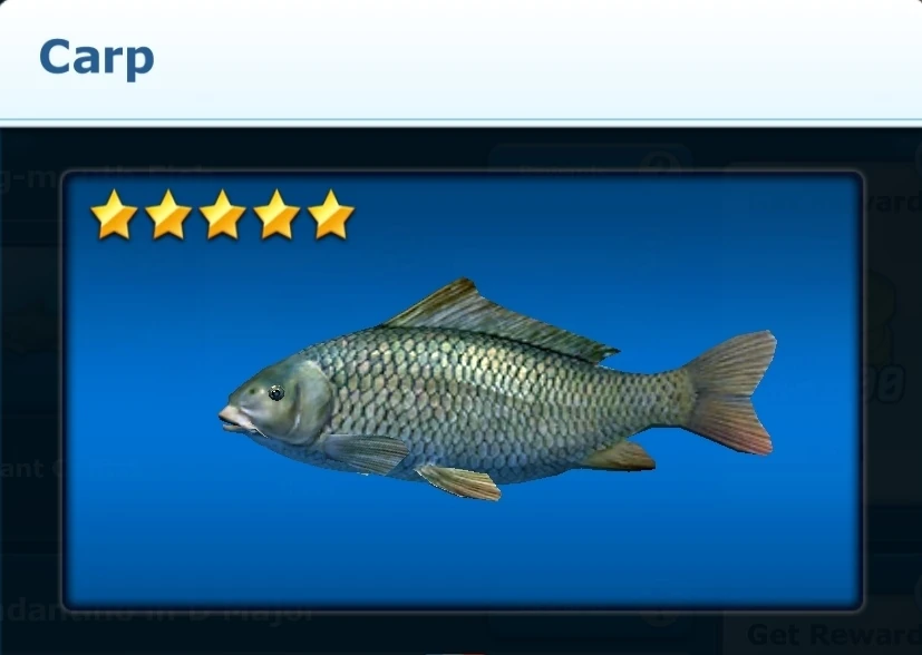 Carp | Ace Fishing Wiki | Fandom