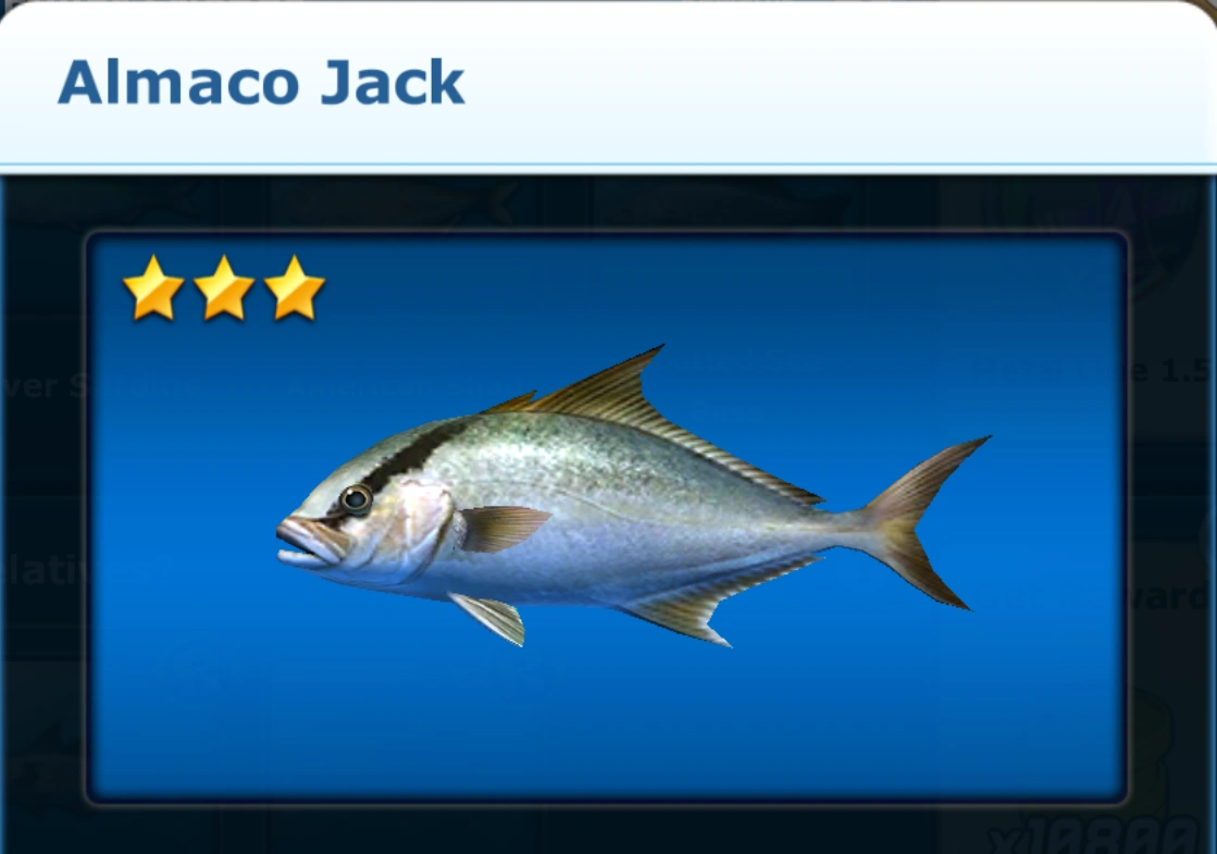 Almaco Jack | Ace Fishing Wiki | Fandom
