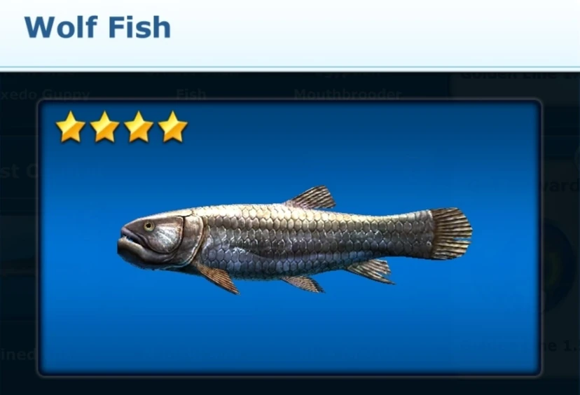 Wolf Fish | Ace Fishing Wiki | Fandom