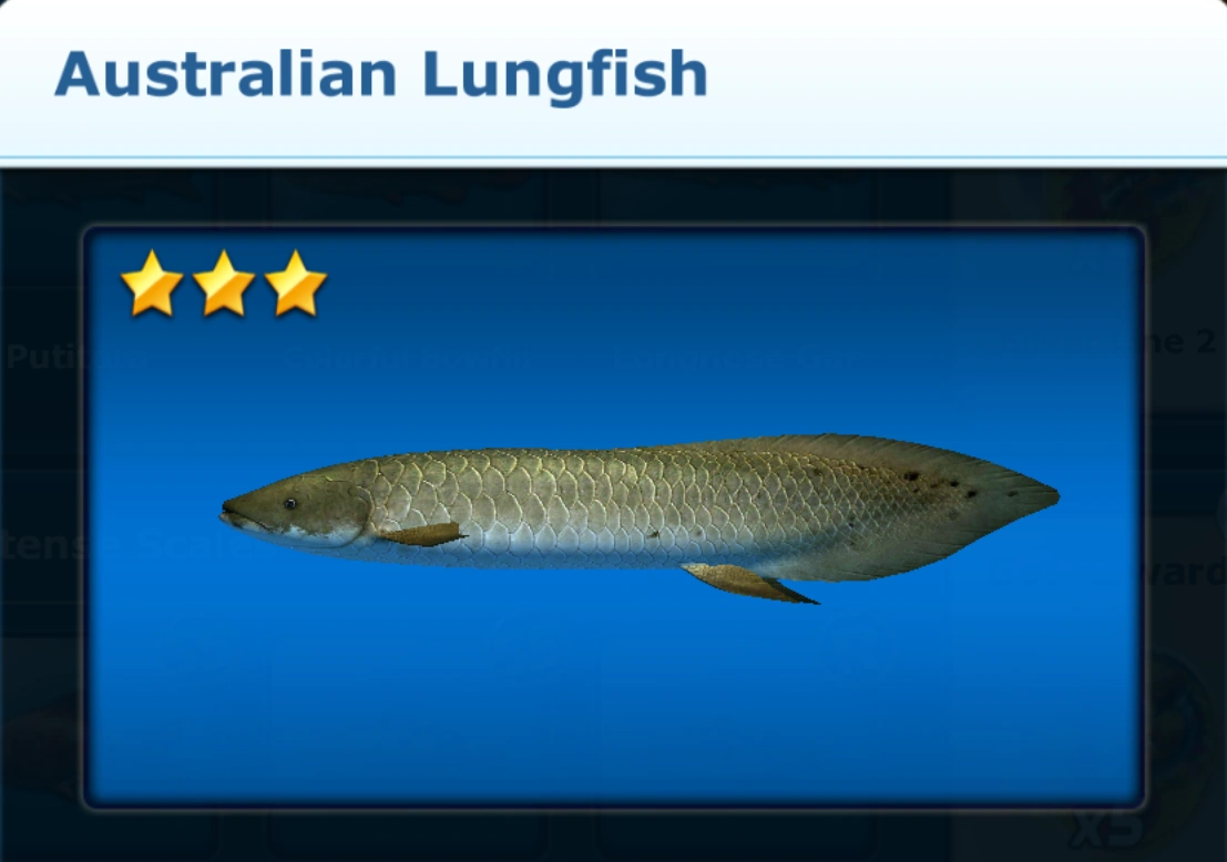 Australian Lungfish | Ace Fishing Wiki | Fandom