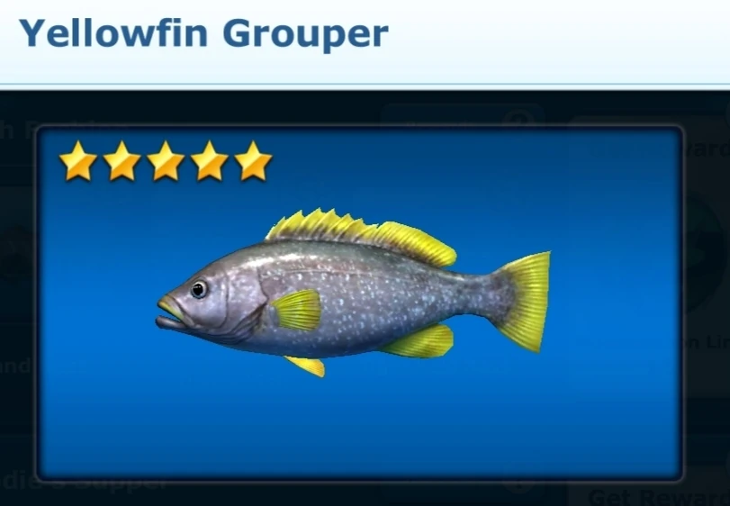 Yellowfin Grouper | Ace Fishing Wiki | Fandom