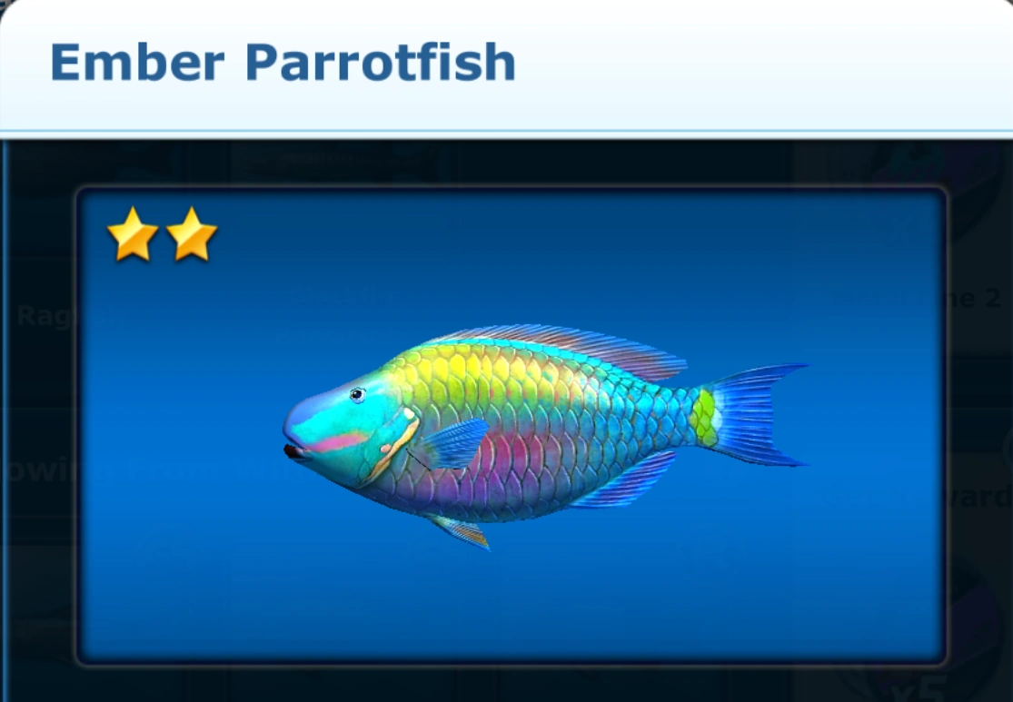 Ember Parrotfish | Ace Fishing Wiki | Fandom