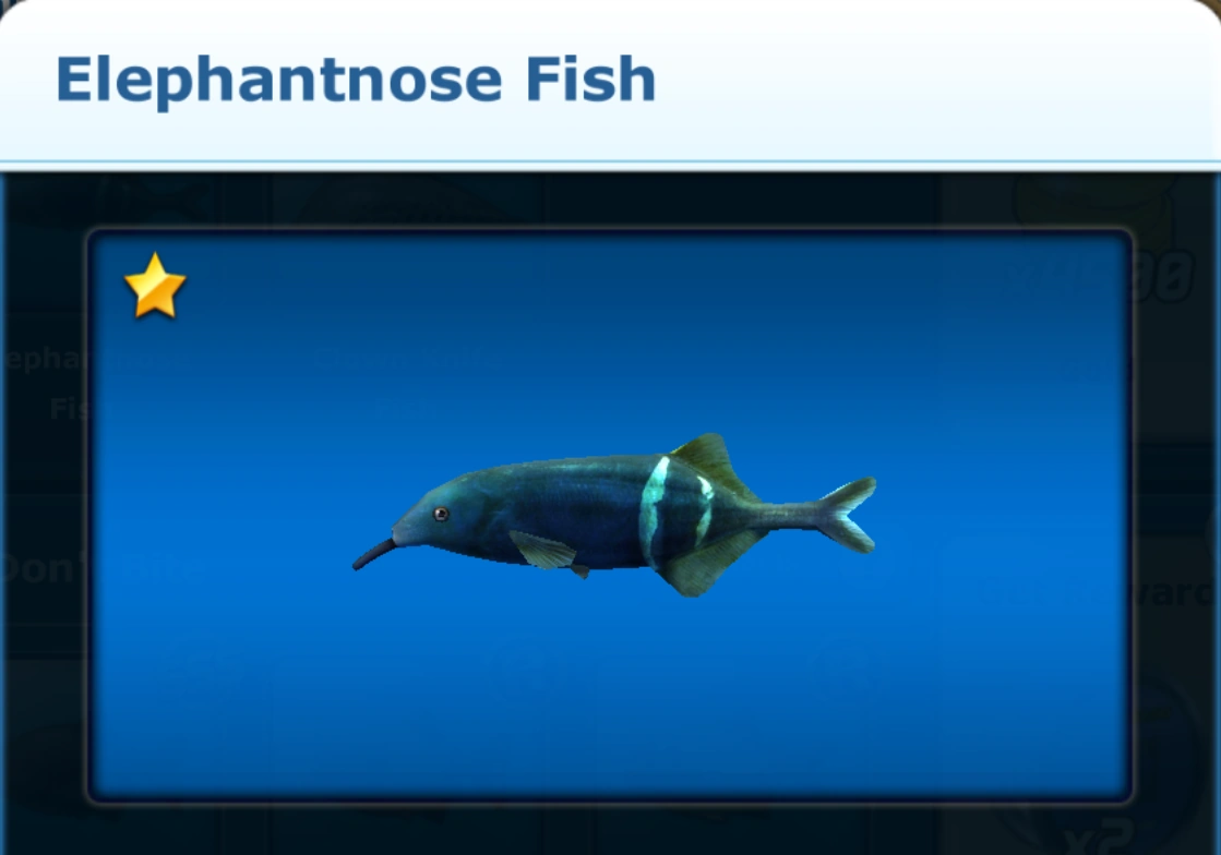 Elephantnose Fish | Ace Fishing Wiki | Fandom