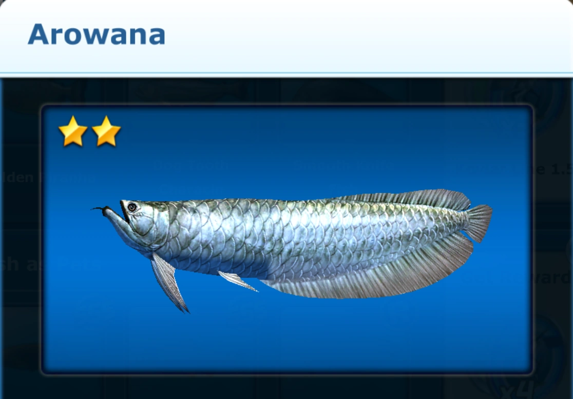 Category:Arowanas | Ace Fishing Wiki | Fandom