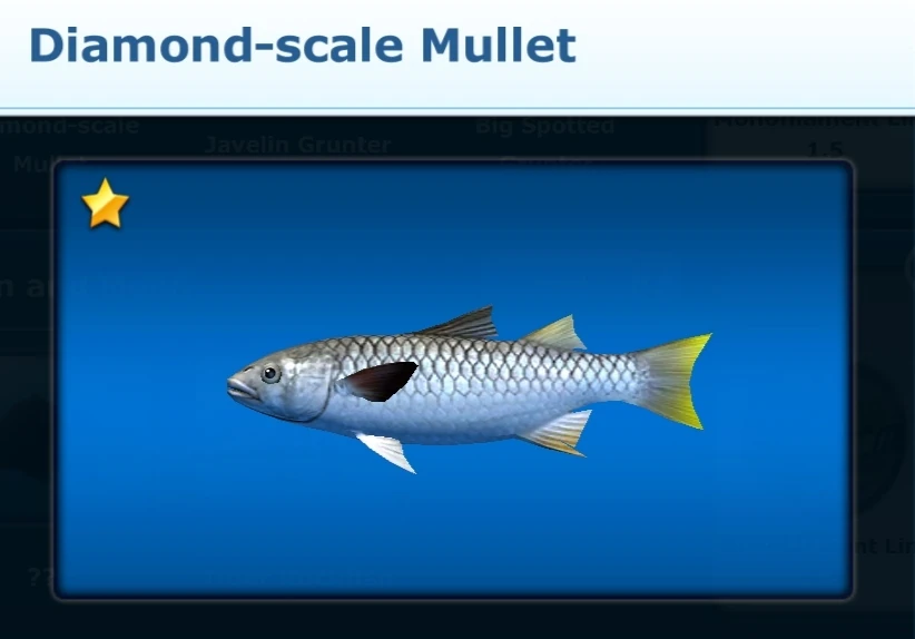 Diamond-Scale Mullet | Ace Fishing Wiki | Fandom