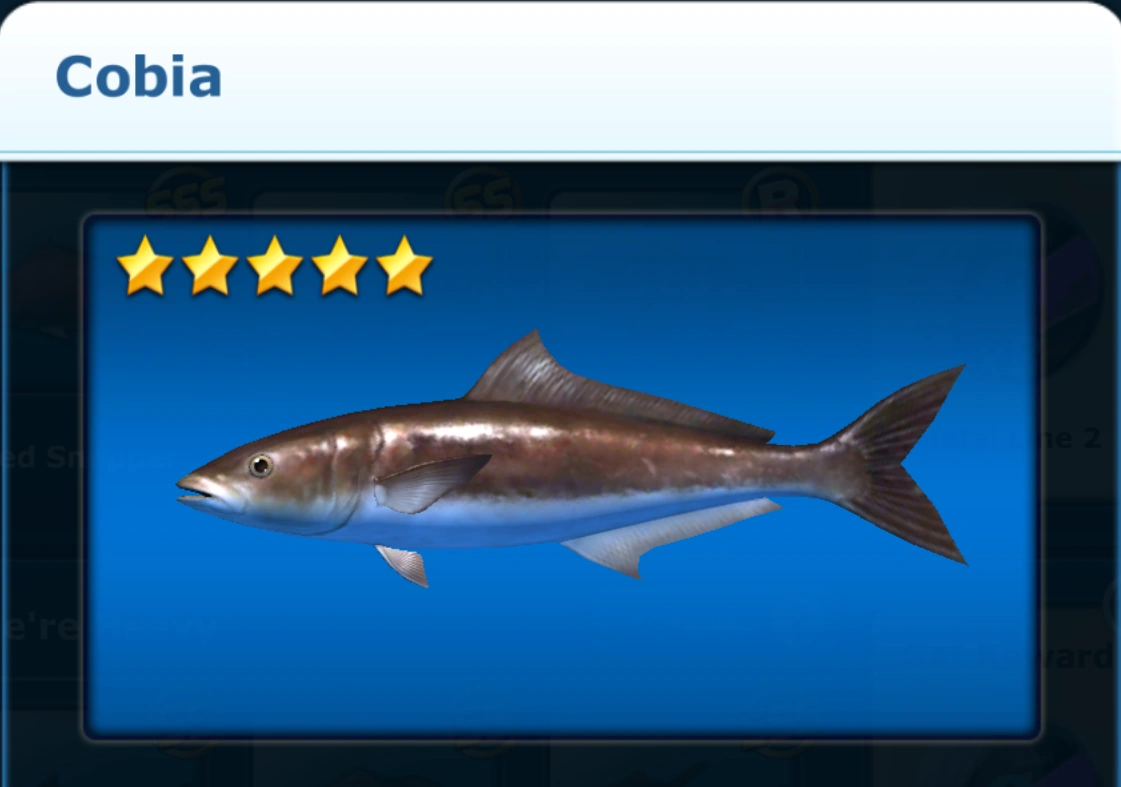 Cobia | Ace Fishing Wiki | Fandom