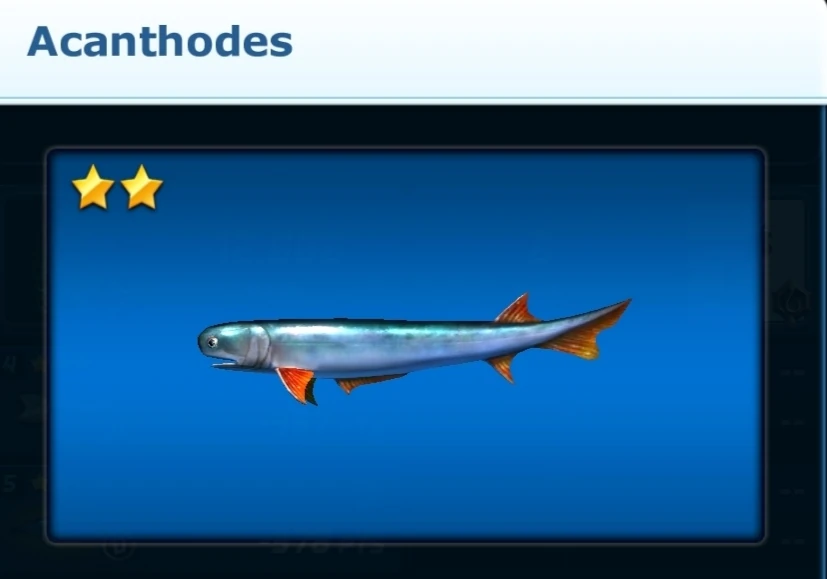 Acanthodes | Ace Fishing Wiki | Fandom