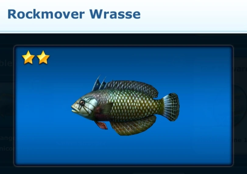 Rockmover Wrasse | Ace Fishing Wiki | Fandom