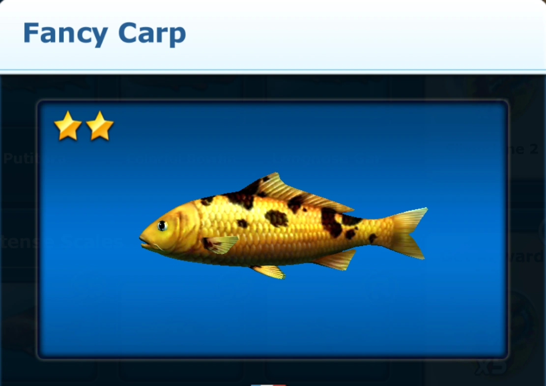 Fancy Carp (Zhangjiajie) | Ace Fishing Wiki | Fandom