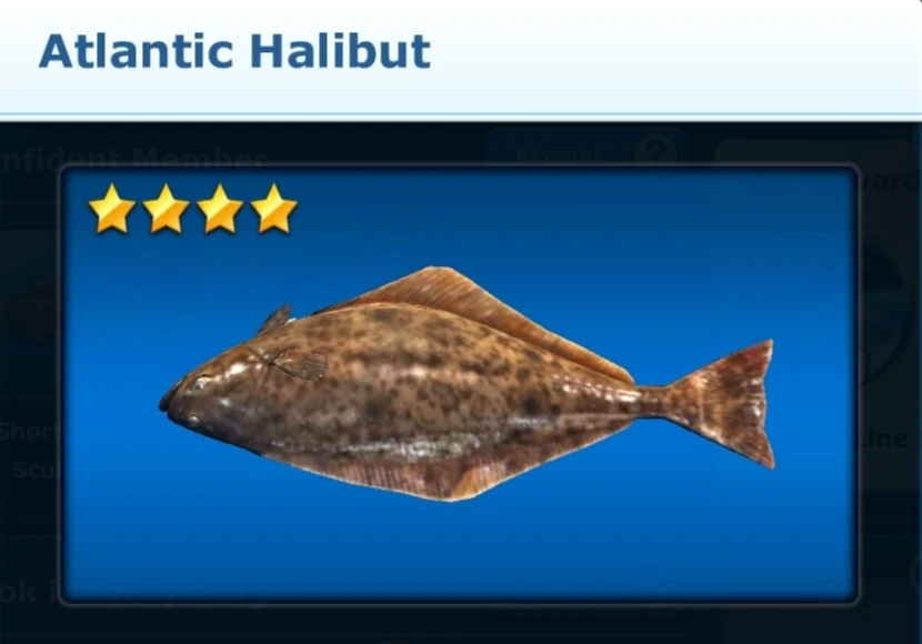 Atlantic Halibut | Ace Fishing Wiki | Fandom