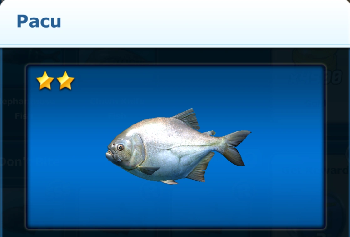 Pacu | Ace Fishing Wiki | Fandom